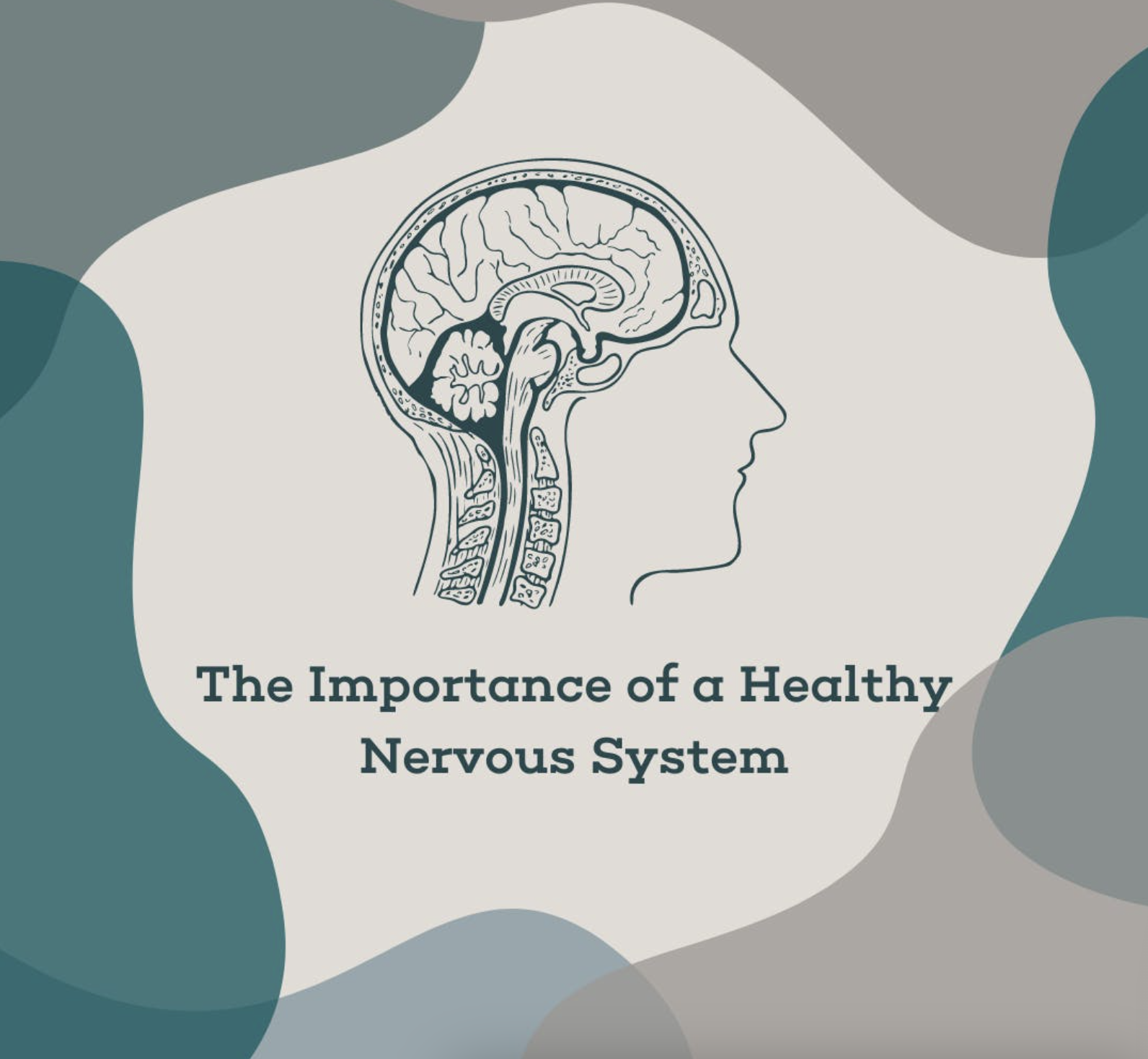 The Importance of a Healthy Nervous System For Healing | Hormone Healing RD