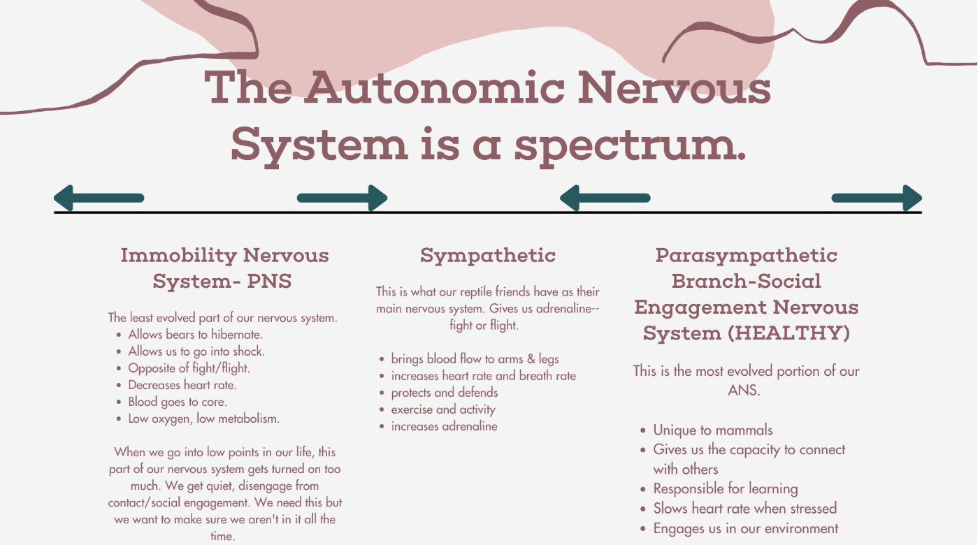 The Importance of a Healthy Nervous System For Healing | Hormone Healing RD