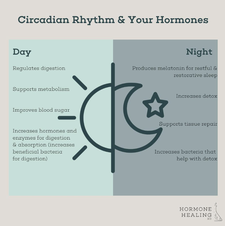 Optimizing Circadian Rhythm For Hormone Health | Hormone Healing RD