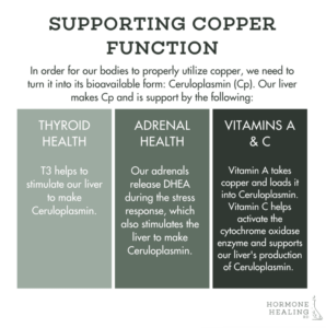 Understanding & Supporting Optimal Copper Levels | Hormone Healing RD