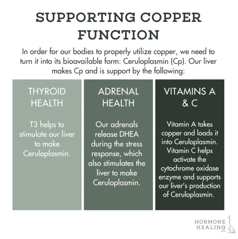 Understanding & Supporting Optimal Copper Levels | Hormone Healing RD