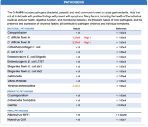 Understanding GI Map Stool Testing Results | Hormone Healing RD