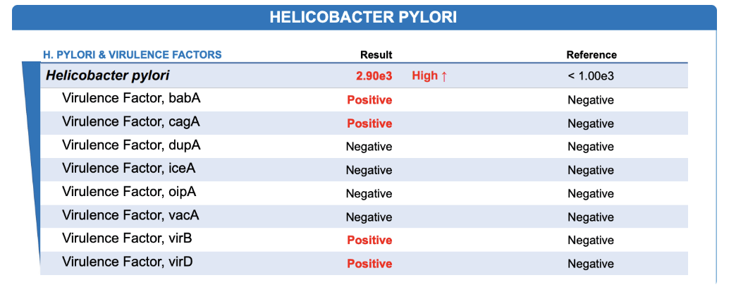 Understanding GI Map Stool Testing Results | Hormone Healing RD
