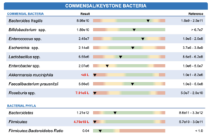 Understanding GI Map Stool Testing Results | Hormone Healing RD