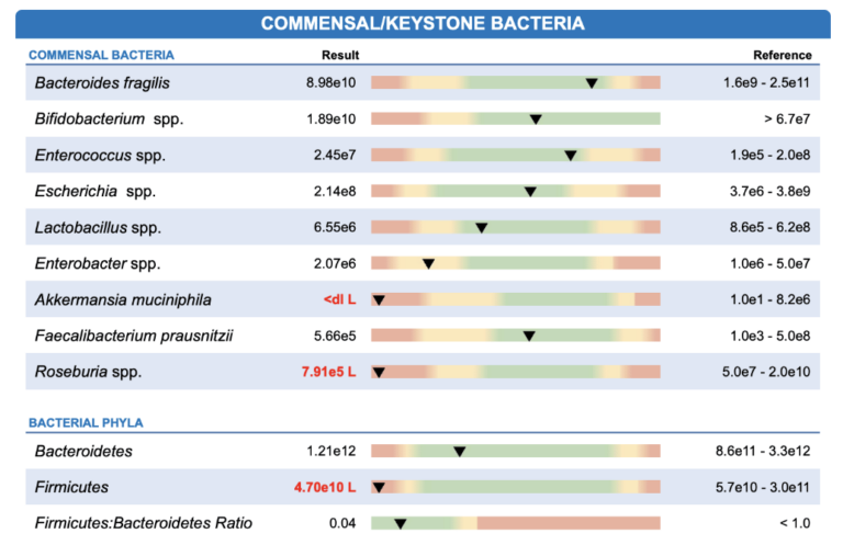 Understanding GI Map Stool Testing Results | Hormone Healing RD