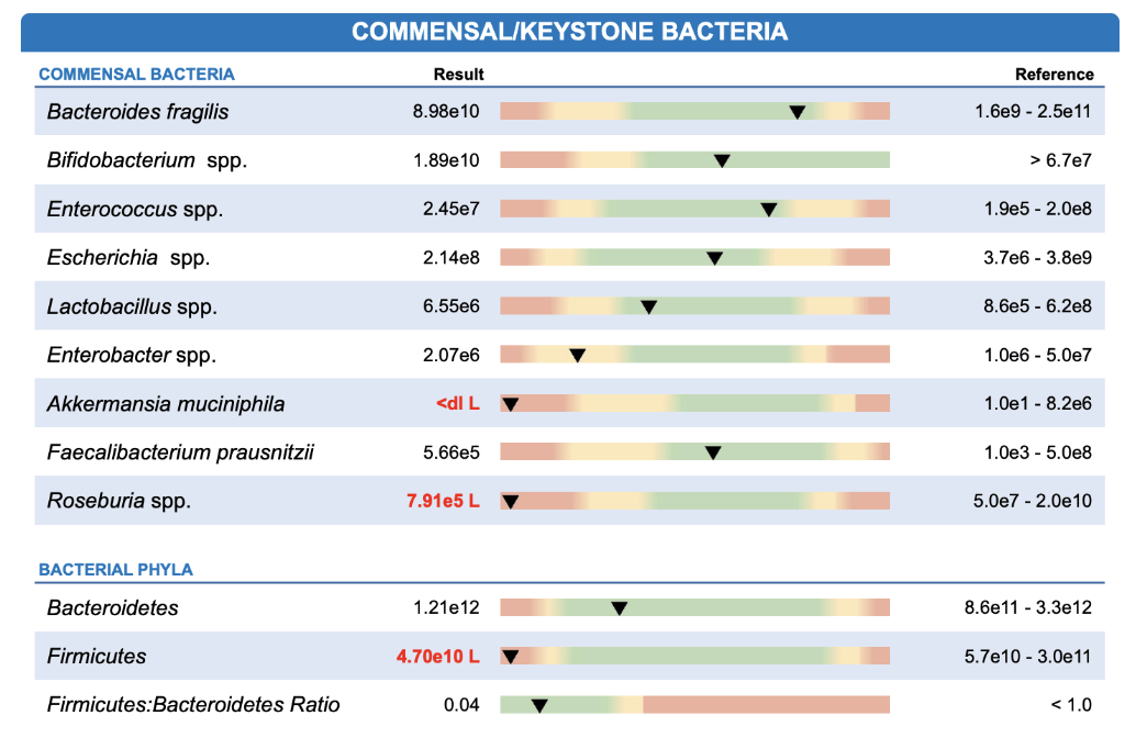 Understanding GI Map Stool Testing Results | Hormone Healing RD