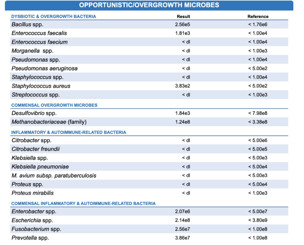 Understanding GI Map Stool Testing Results | Hormone Healing RD