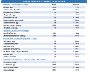 Understanding GI Map Stool Testing Results | Hormone Healing RD