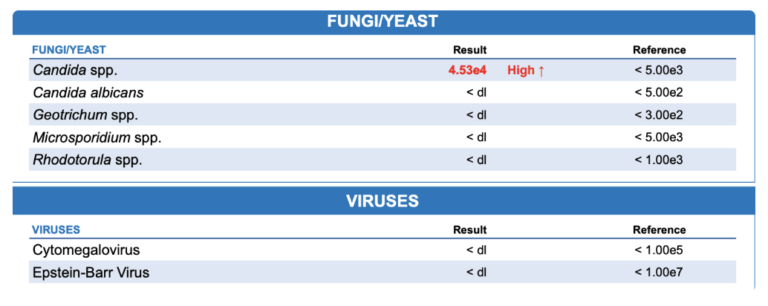 Understanding GI Map Stool Testing Results | Hormone Healing RD