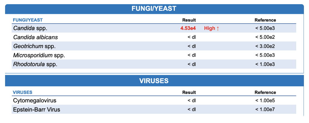 Understanding GI Map Stool Testing Results | Hormone Healing RD