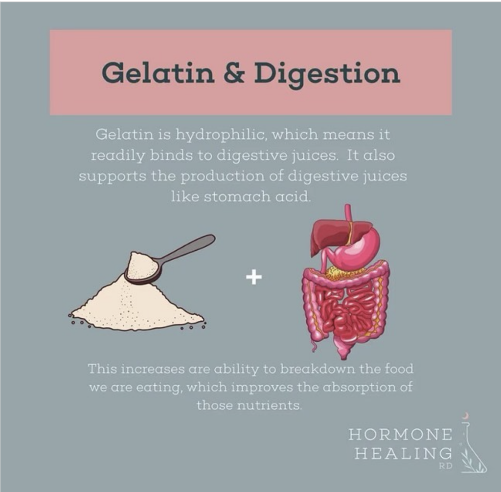 Gelatin & Digestion | Hormone Healing RD